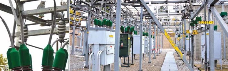 Protective Devices Installed to Reduce Wildlife Outages at Distribution ...