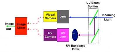 Comparing Methodologies to Detect Damaged Composite Insulators