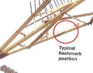 Birds: Threat to or Threatened by Lines?