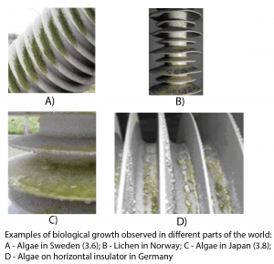 Biological Growths on Composite Insulators