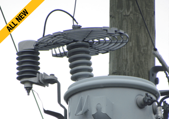 Best Practice in Lightning Protection for Distribution Systems