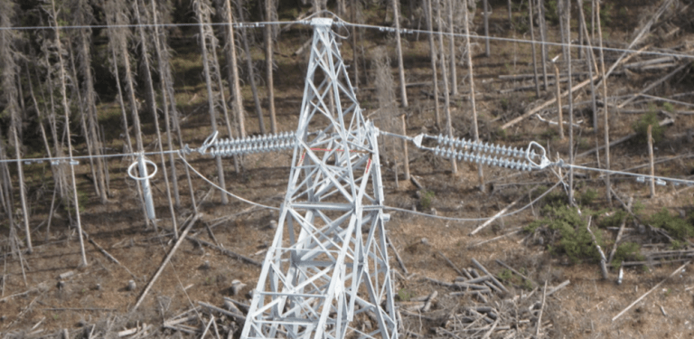 Best Practice When Installing TLSAs