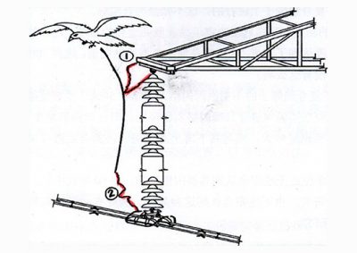 Bird Hazards to Transmission Lines