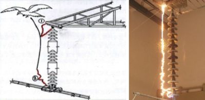 Bird Hazards to Transmission Lines