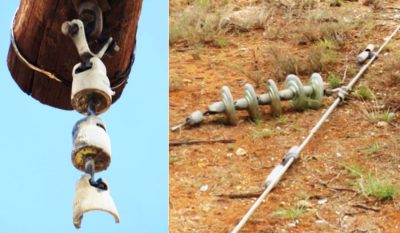 Assessing Failure Rate of Line Insulators