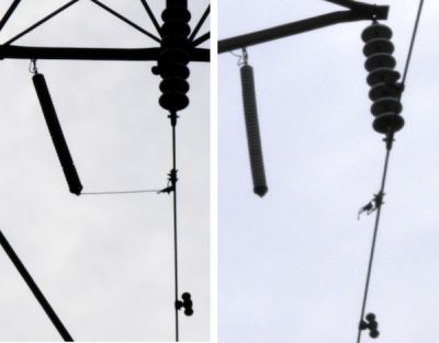 Interaction of Line Surge Arresters with Vibration Dampers