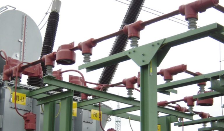 Protecting Overhead Lines & Substations from Wildlife Induced Outages