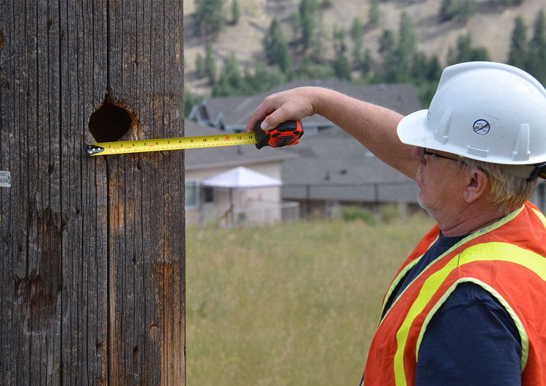 Managing Bird Damage to Utility Structures