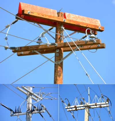 Birds: Threat to or Threatened by Lines?