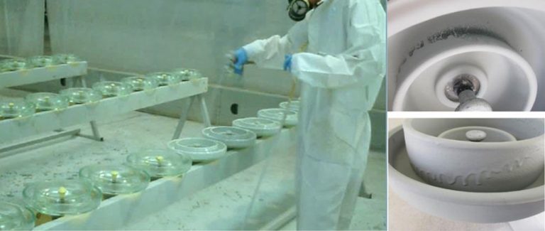 Experience with RTV Coatings in Power Systems