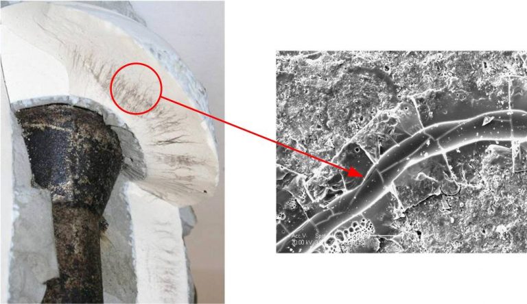 Comparing Failure Modes of Line Insulators