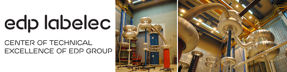 Protecting Neutral Terminals of Power Transformers at Distribution ...