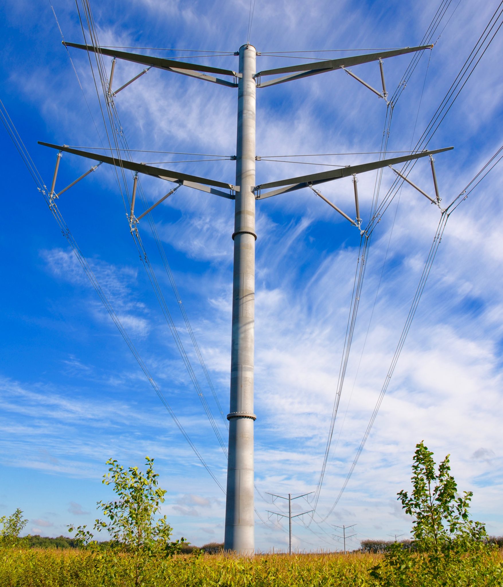 30 Eventful Years of INMR