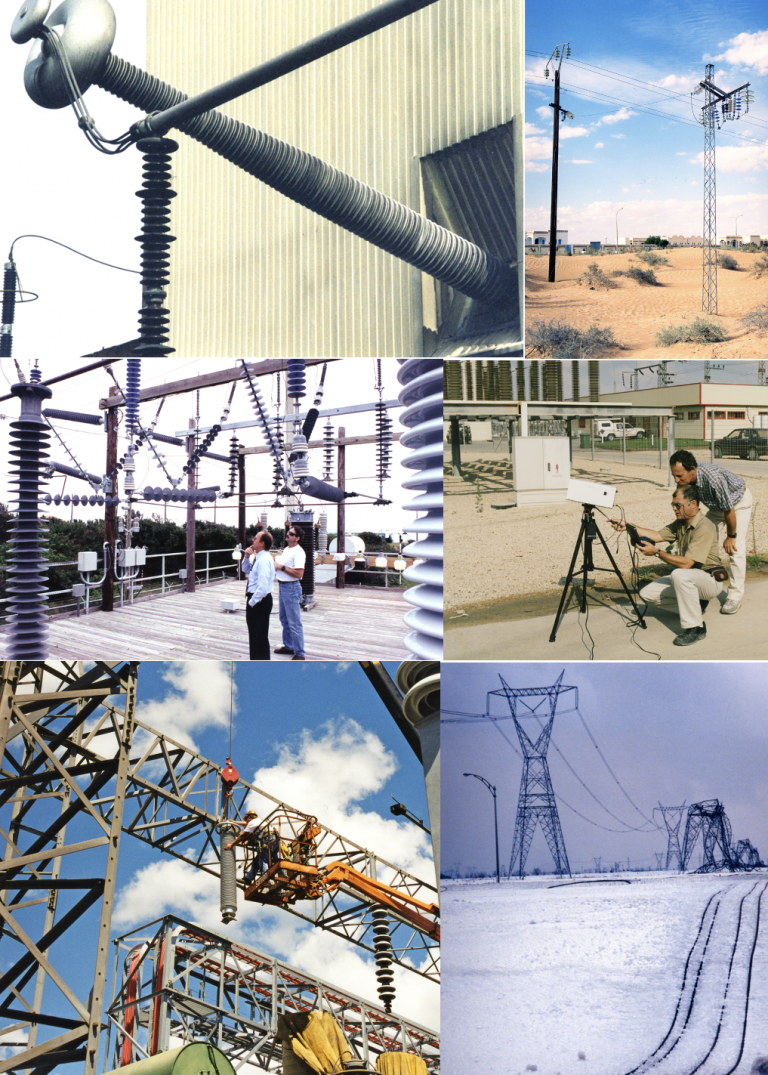 30 Eventful Years of INMR