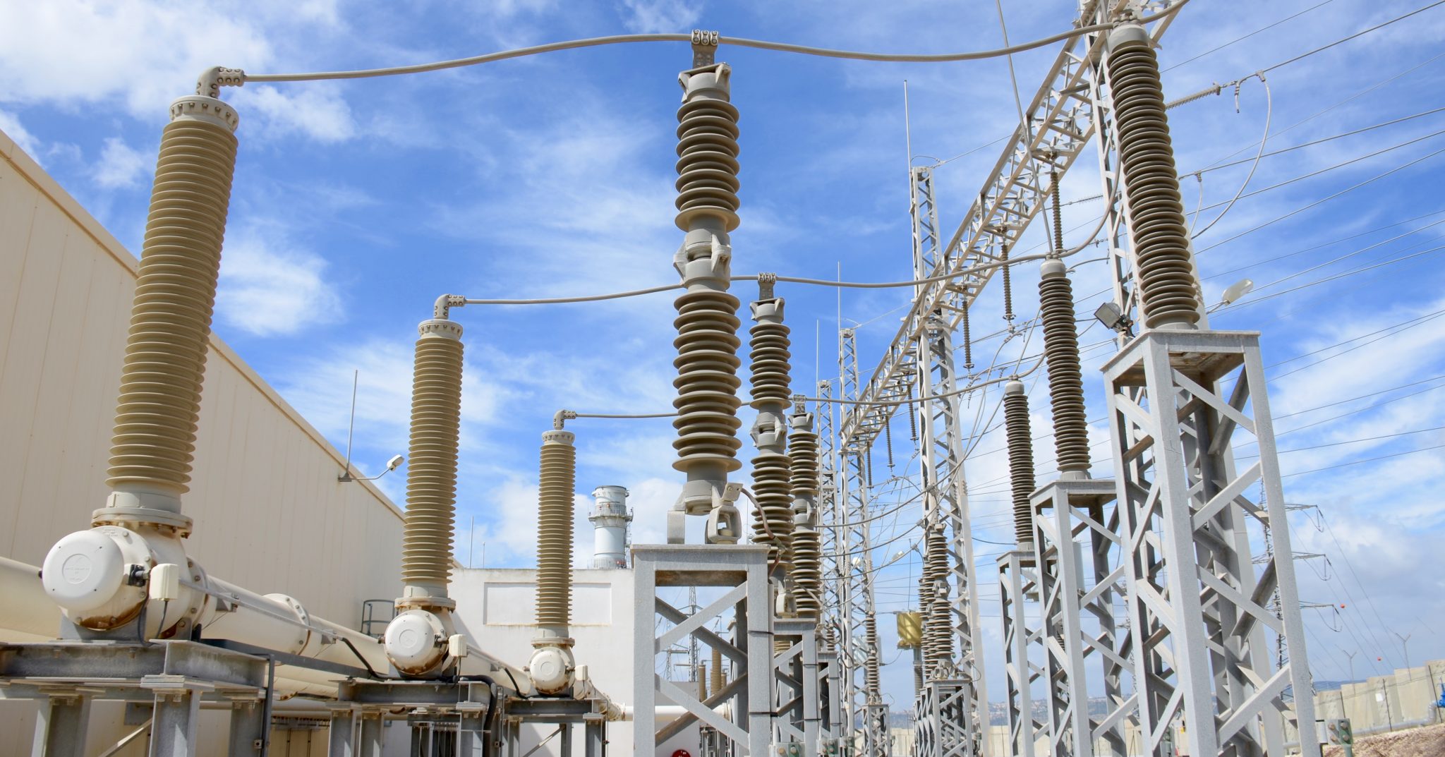 30 Eventful Years of INMR