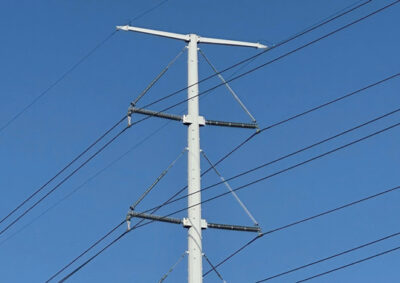 Advancing the Testing of Braced Line Post Assemblies