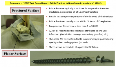 Designing & Manufacturing Polymer Insulators: Not All Types are the Same
