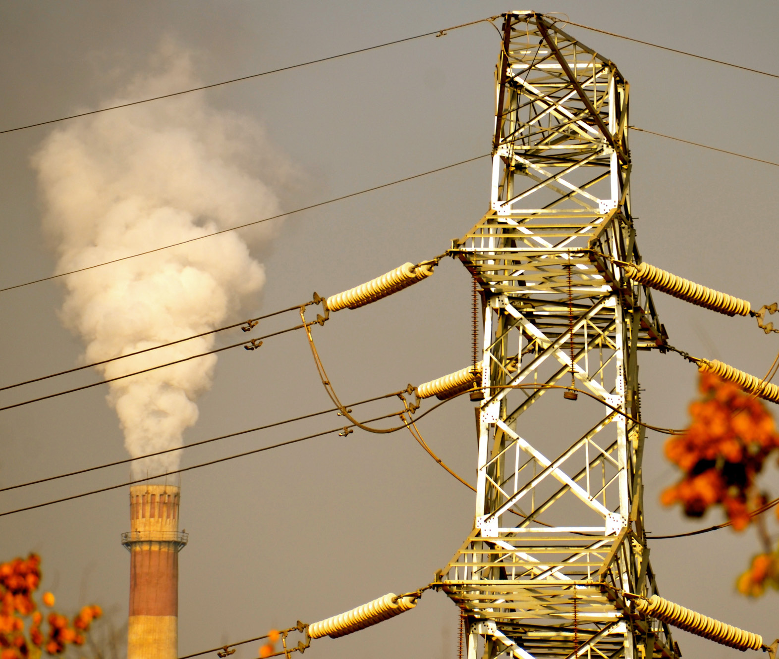 Characterizing Pollution Severity Needs More than Relying Only on ESDD