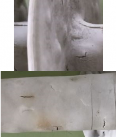 Comparing Insulator Performance Under Wildfire