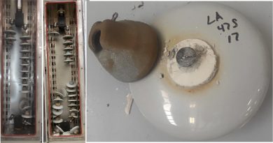 Insulator Performance Under Wildfire