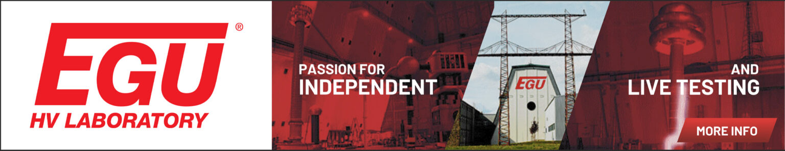 Protecting Neutral Terminals of Power Transformers at Distribution ...