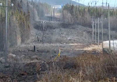 Insulator Performance Under Wildfire