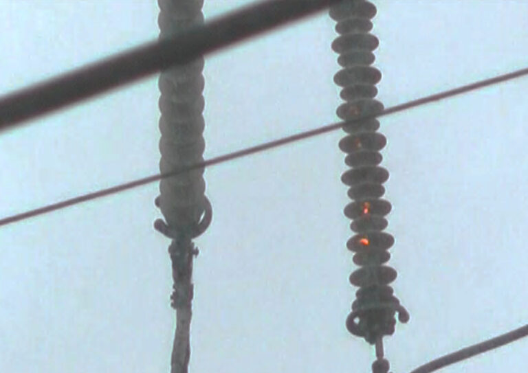 Protecting Neutral Terminals of Power Transformers at Distribution ...