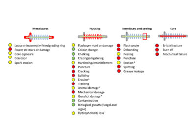 Six Decades Operating Experience with Composite Line Insulators